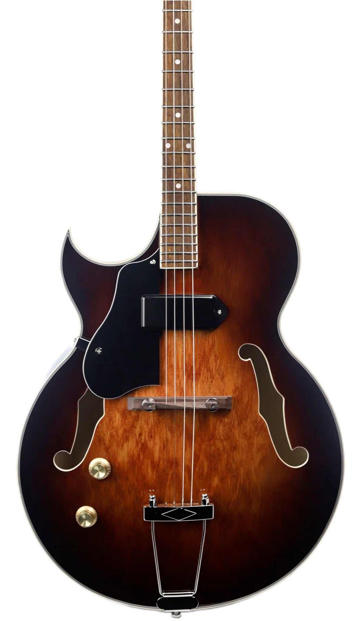 Eastwood TG-150 Archtop Electric Left-Hand Tenor Guitar – Tenor Guitars